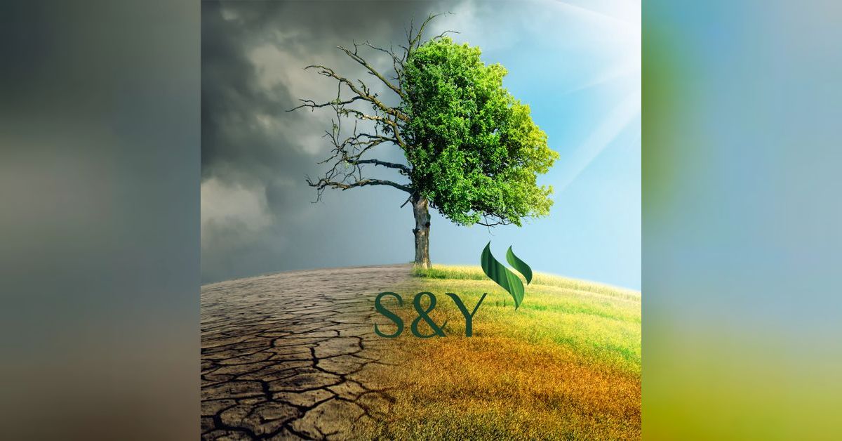 Sustainability & You Episode 13 - Alex Milward | The Sustainability ...