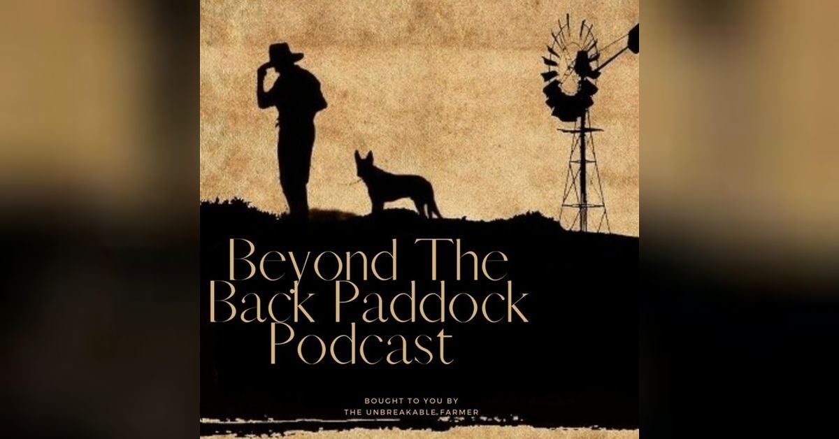Beyond The Back Paddock | theunbreakablefarmer