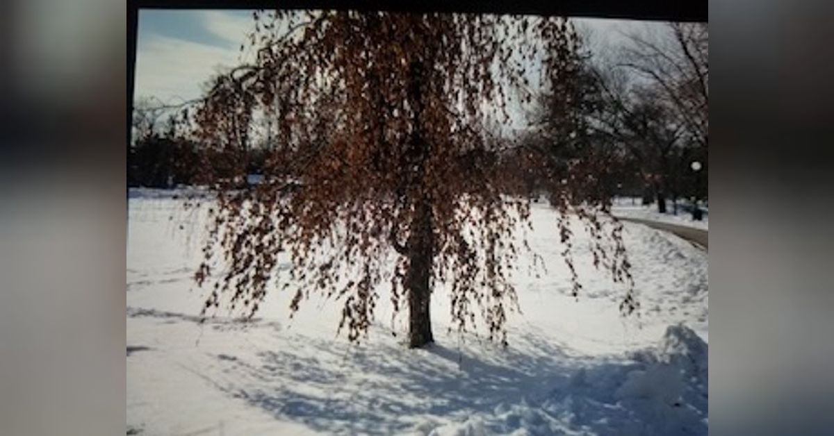 The Erasure of Race: The murder of Howard Joel Munroe Episode 1 ...