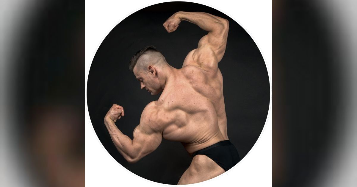 Pro Bodybuilder Cycle Secrets, Lowering Hematocrit, Vortioxetine Vs ...