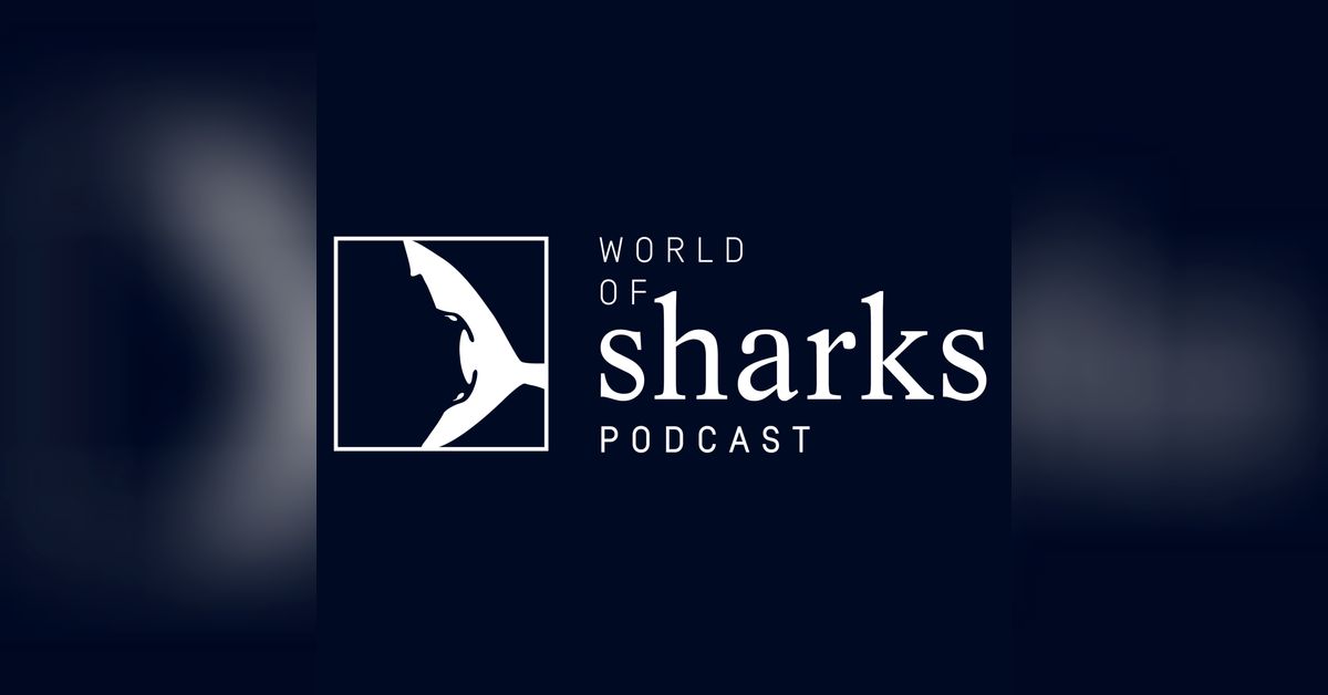 BONUS EPISODE - 50 Years On: Was Jaws Really Bad for Sharks? With Amani ...