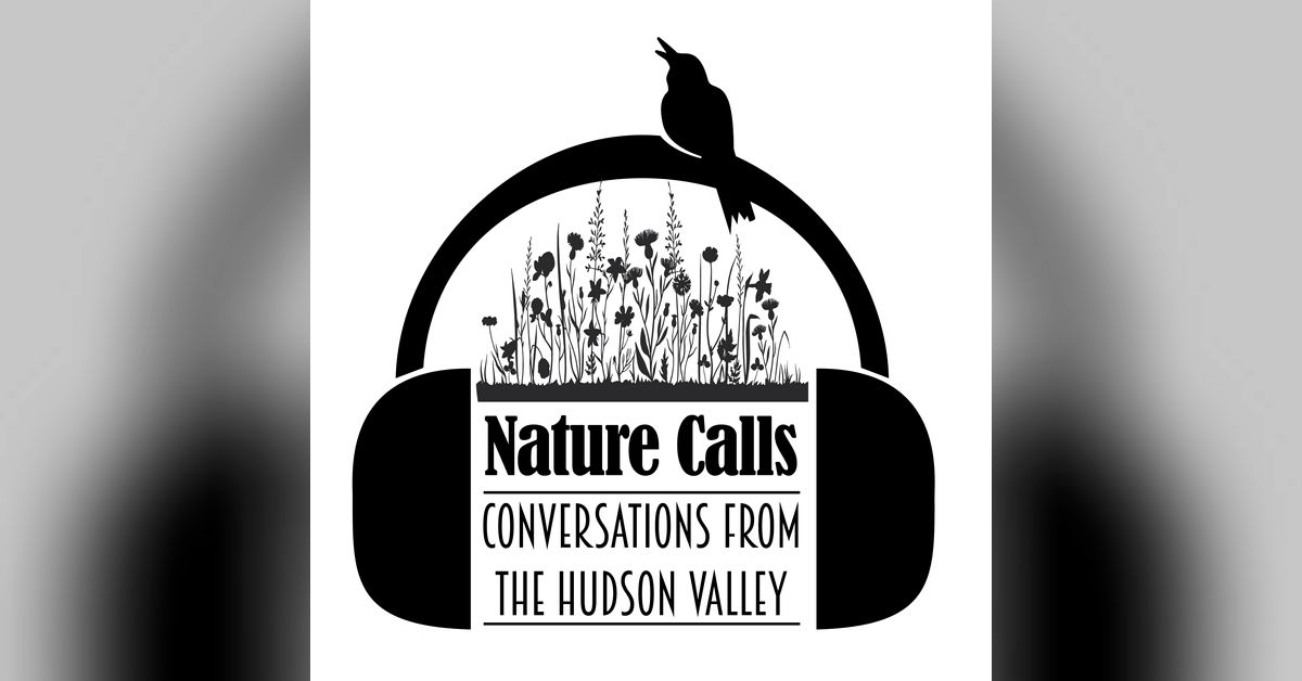 Episode 163: Tools Retrospective (Part 1) | Nature Calls: Conversations from the Hudson Valley