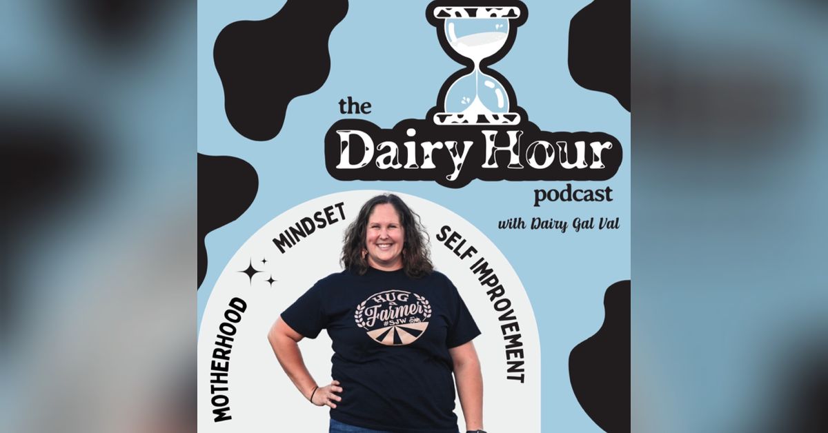 Mini Mindset: Chaos and Curriculums- Starting the Journey! | The Dairy ...