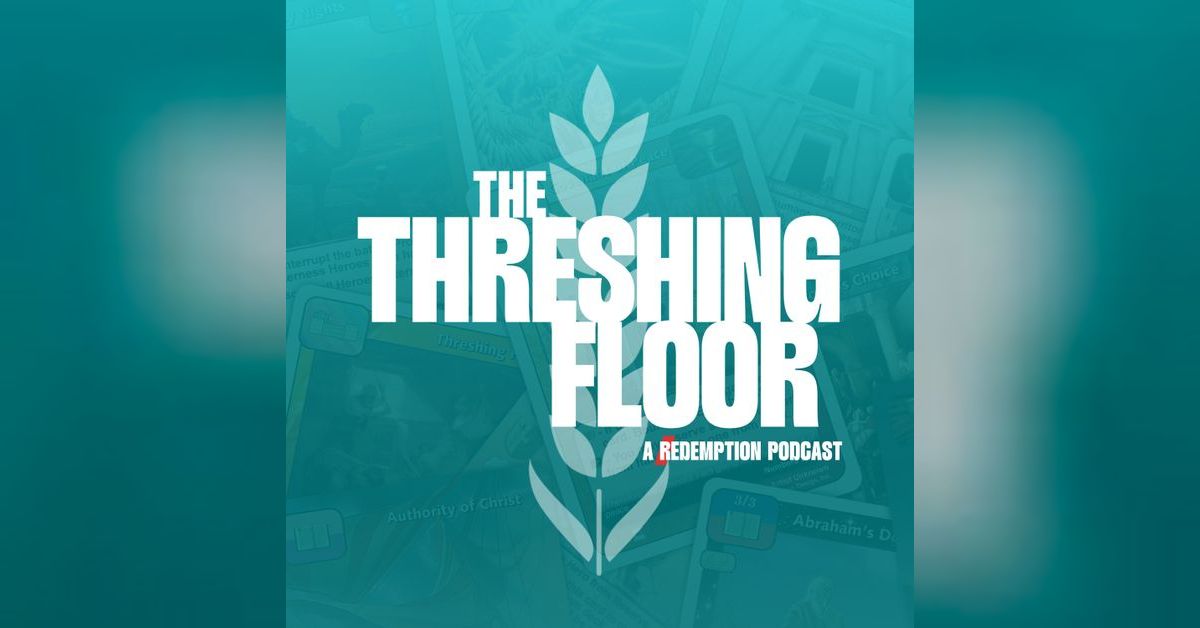 Page 6 | The Threshing Floor
