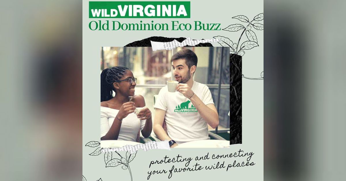 Chronicles of the James River: Exploring the Past and Present of ...