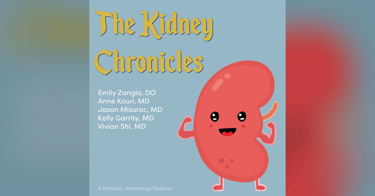 Episode 3: Pediatric Kidney Transplantation, Part 1 | The Kidney ...