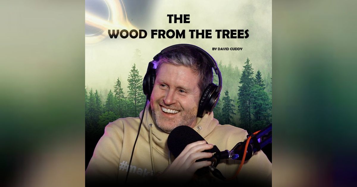 The Wood From The Trees | David Cuddy