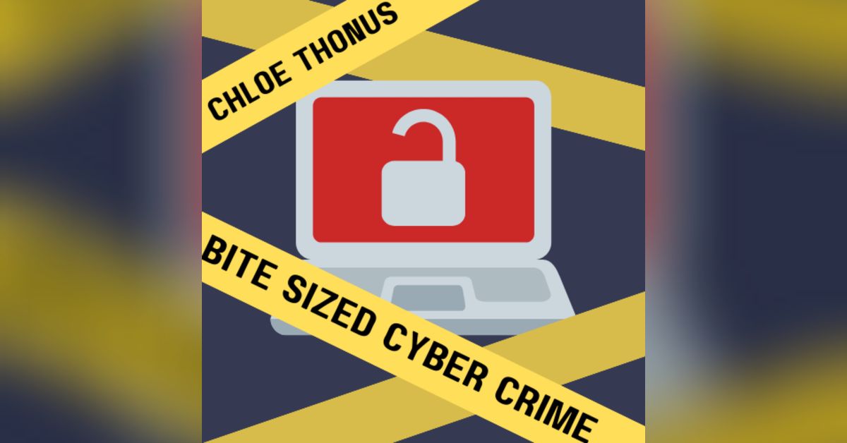 Bite Sized Cyber Crime | Chloe Thonus