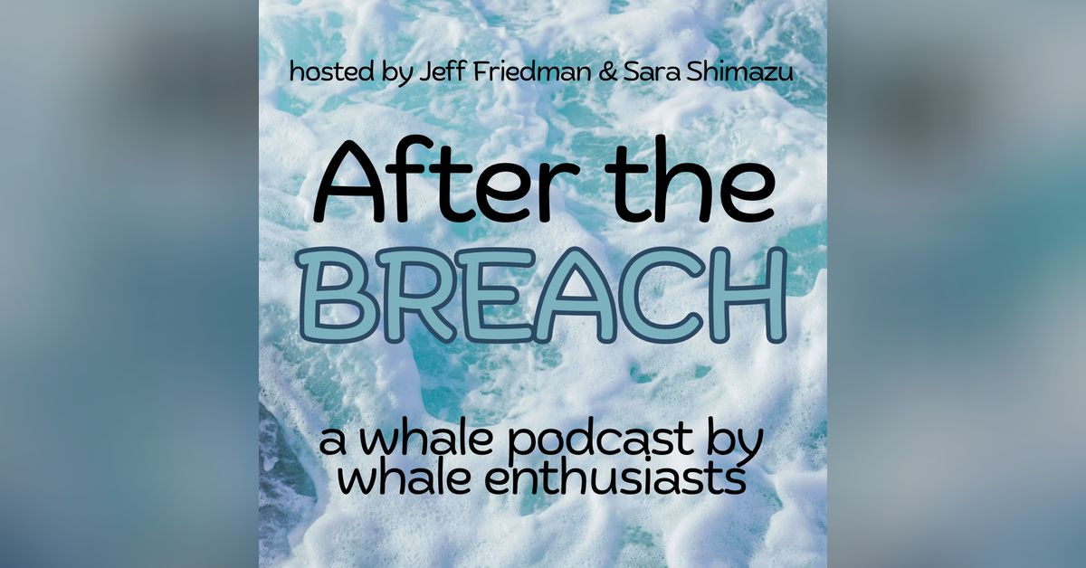 Episode 48 - Southern Resident Killer Whales: 20 Years Endangered ...