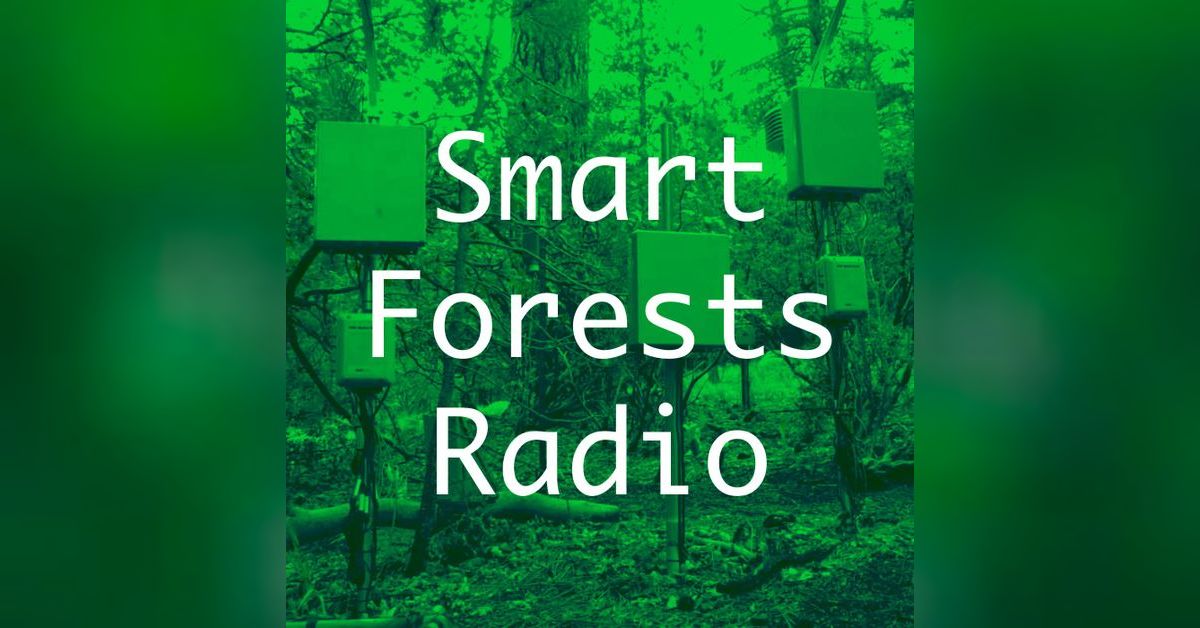 Smart Forests Radio | Smart Forests