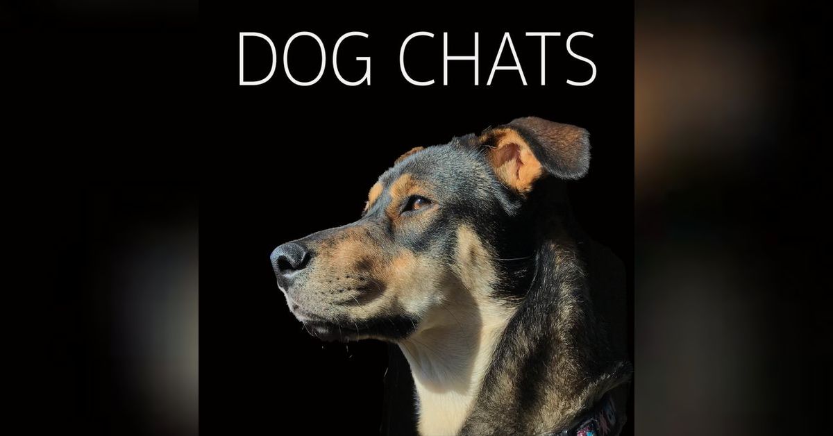 Episode 27: Kim Brophey on Dramatic Change- The Good Life | Dog Chats