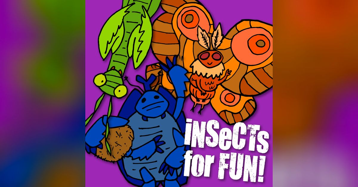 Are insects Crustaceans? Are Lobsters just Roaches of the sea ...