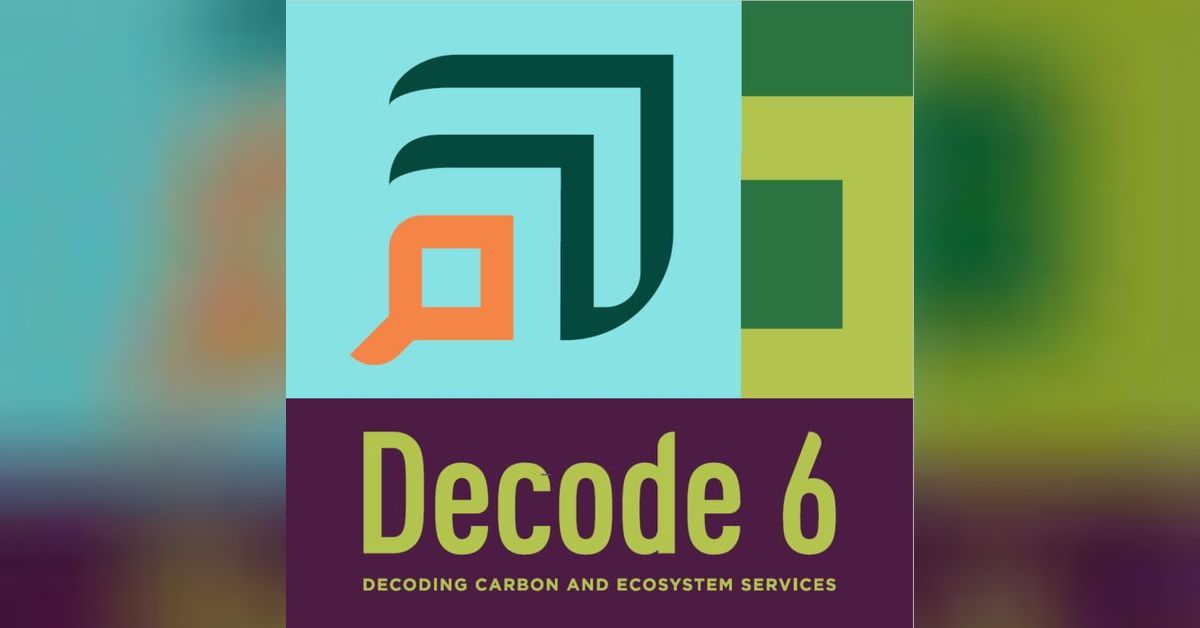 Decode 6 | Decode 6