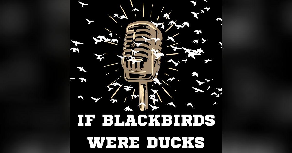 If Blackbirds Were Ducks | Danny Morrison