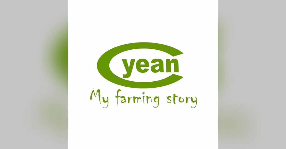YEAN Podcast | YEAN