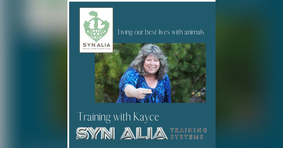 Training With Kayce | Kayce Cover