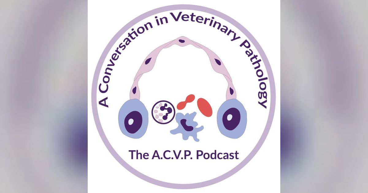 Season 02, Episode 010 - A Conversation with Dr. Rachel Reams | A ...