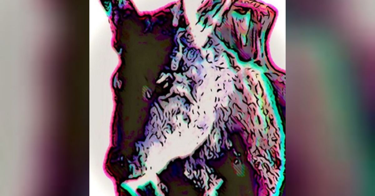 The ODDentity Podcast | The ODDentity Podcast: Janine Mercer