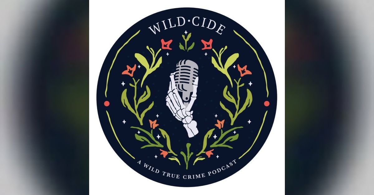 Hijacker: A Conversation with Martin McNally | WILDCIDE