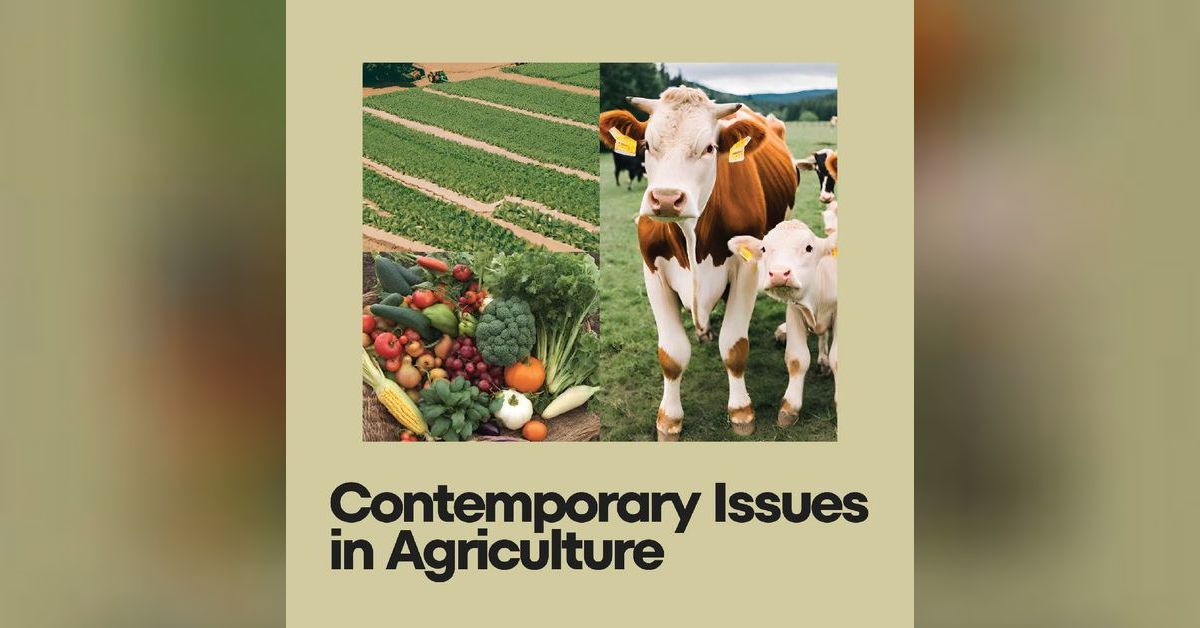 Unveiling Urban Farming: Graceline's Reflection | CAP (Contemporary ...