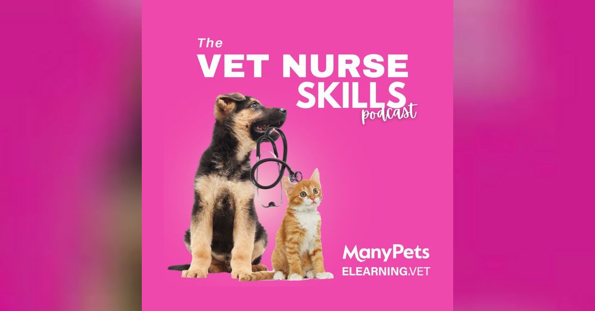 The Vet Nurse Skills Podcast | vetnurseskills