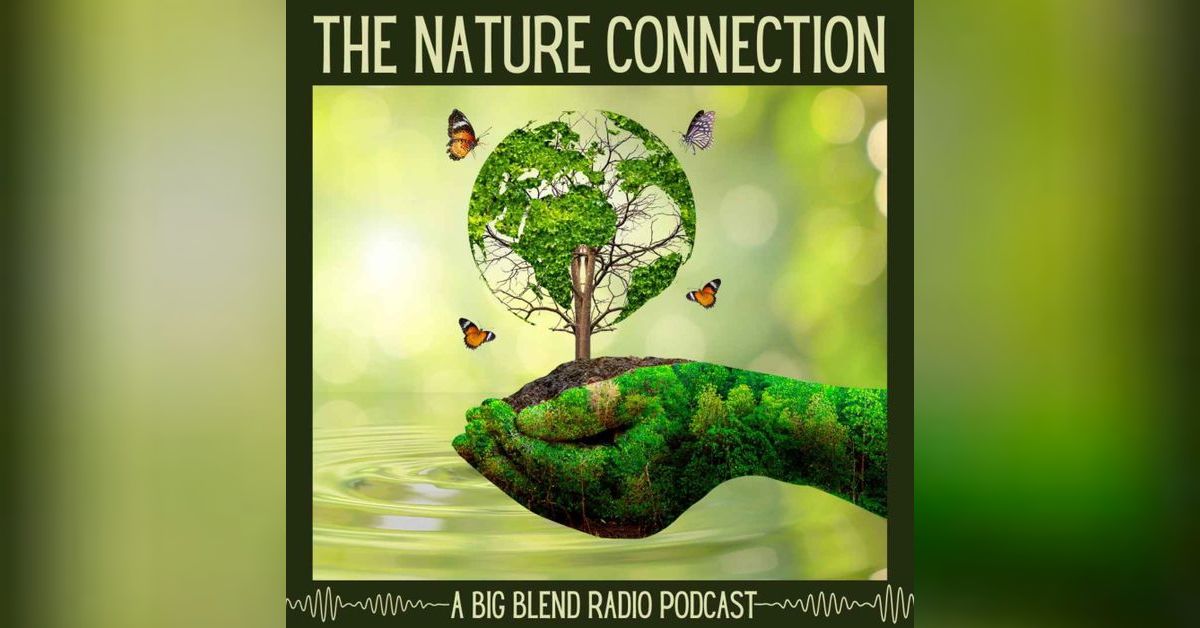 Nature Connection Radio | Big Blend Radio Network