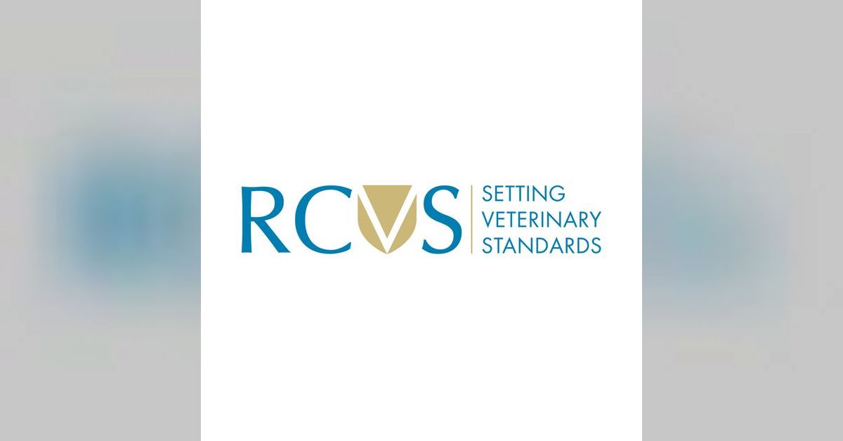 Navigating the current environment. | Royal College of Veterinary Surgeons (RCVS)