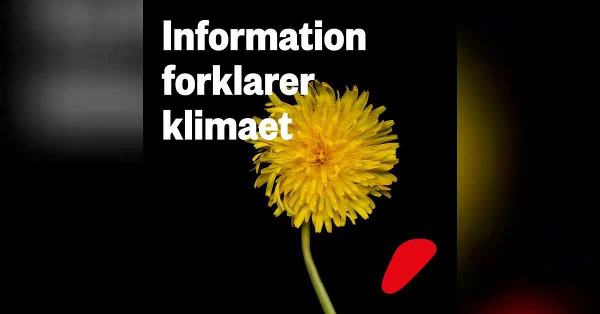 Hvordan mindsker man mest effektivt sit aftryk på planeten? Forstå konsekvenserne af dit forbrug ...