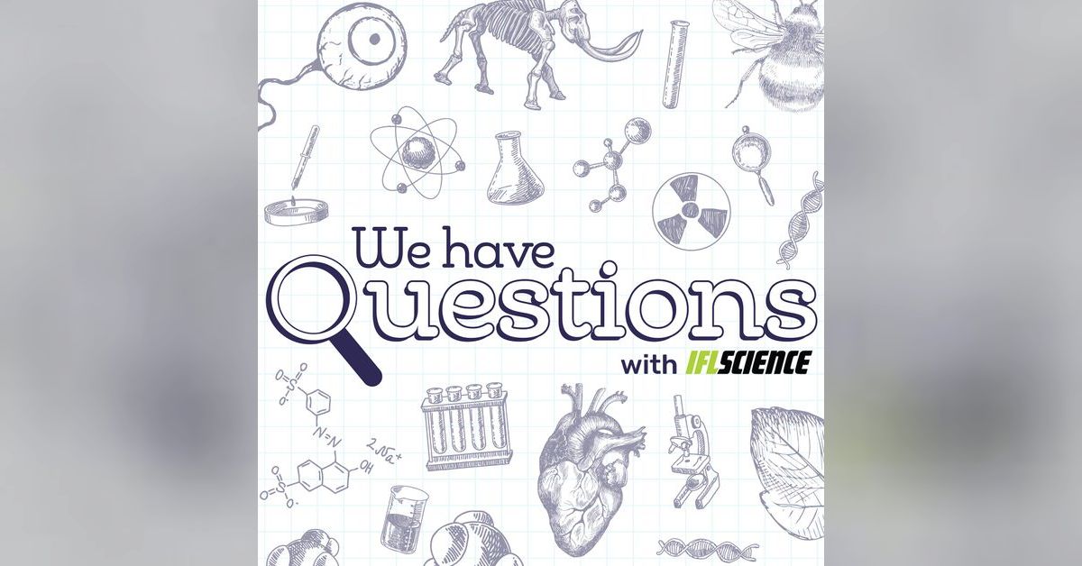 Why Do Humans Play Games? | IFLScience - We Have Questions