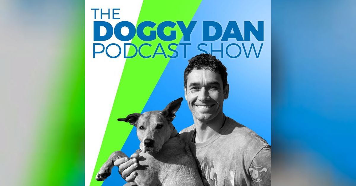 Show 19: The Secrets of Dog DNA Testing: Uncovering Breeds, History and ...