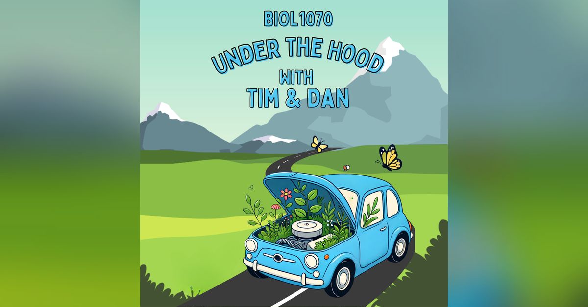 BIOL1070: Under the Hood with Tim and Dan | Tim and Dan