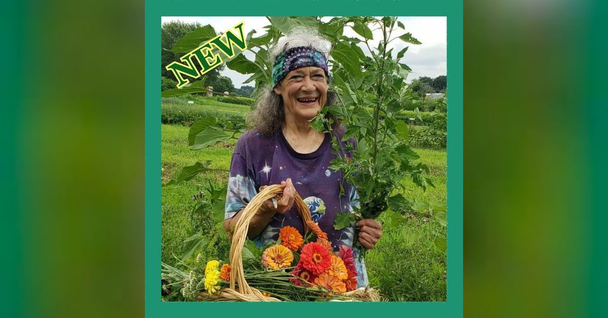 New - Ask Herbal Health Expert Susun Weed | susun weed