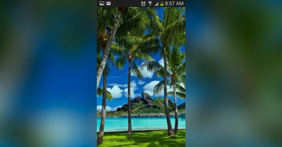 Bring It On Back JAMS Podcast | A’DRANA GOODEN-EL agoodenel@gmail.com