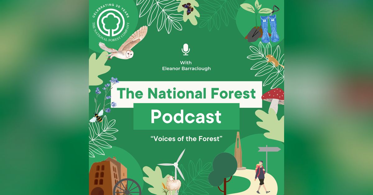 The National Forest Podcast | The National Forest