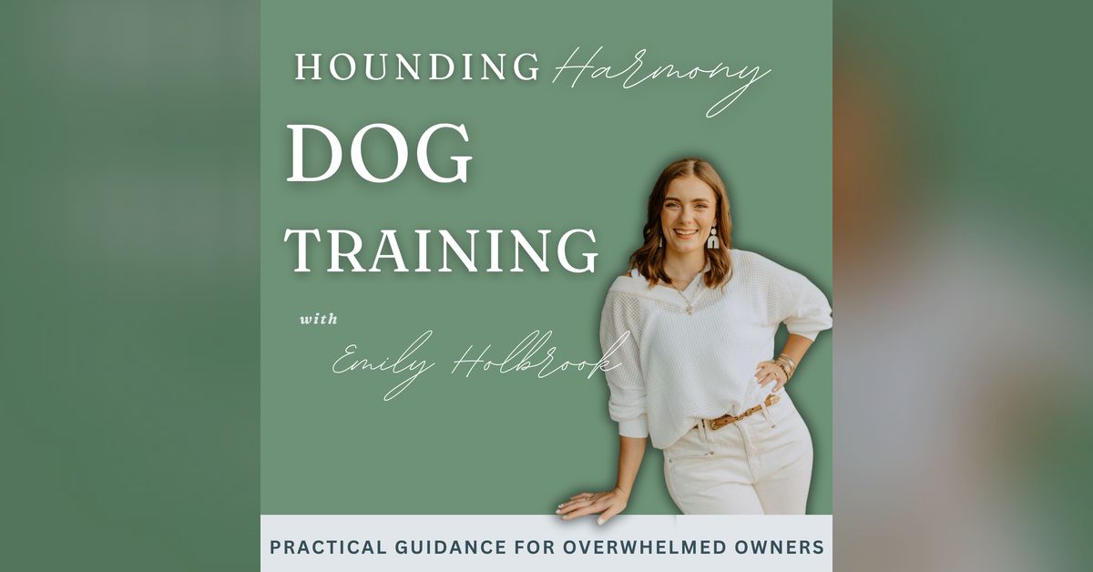 Hounding Harmony Dog Training Podcast - *Fixed* 21 | Exposure Therapy ...