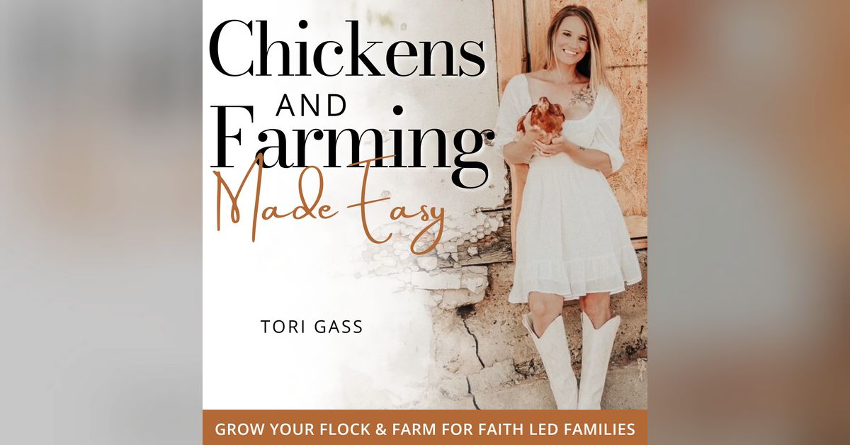 Start Here: A Beginner’s Guide to Backyard Chickens, Farming, and Faith ...