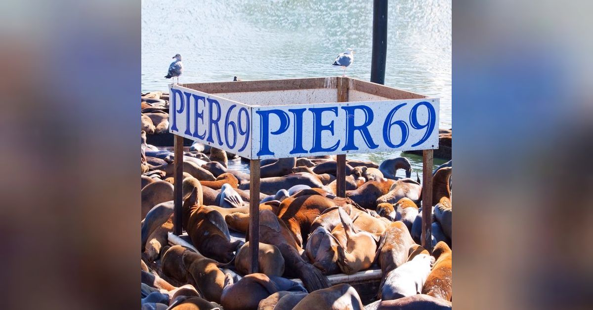Pier 69 Podcast - Oscars De La Hoya | Free Listening on Podbean App