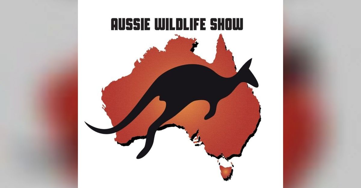 Terry Reardon | Bat Researcher | Aussie Wildlife Show