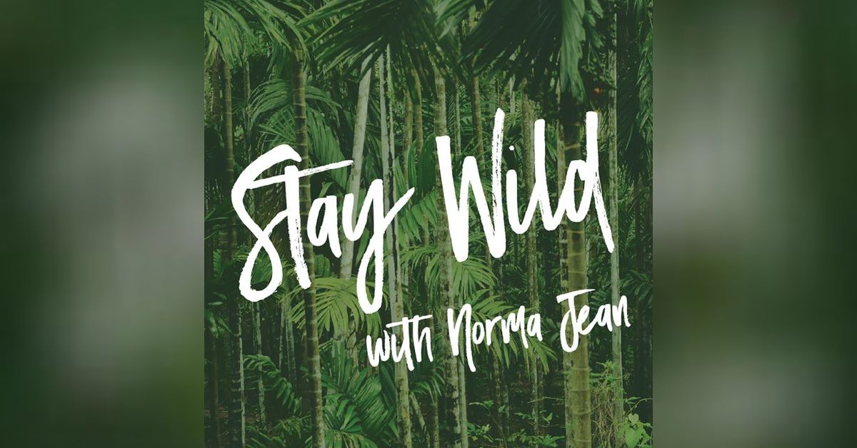 Stay Wild