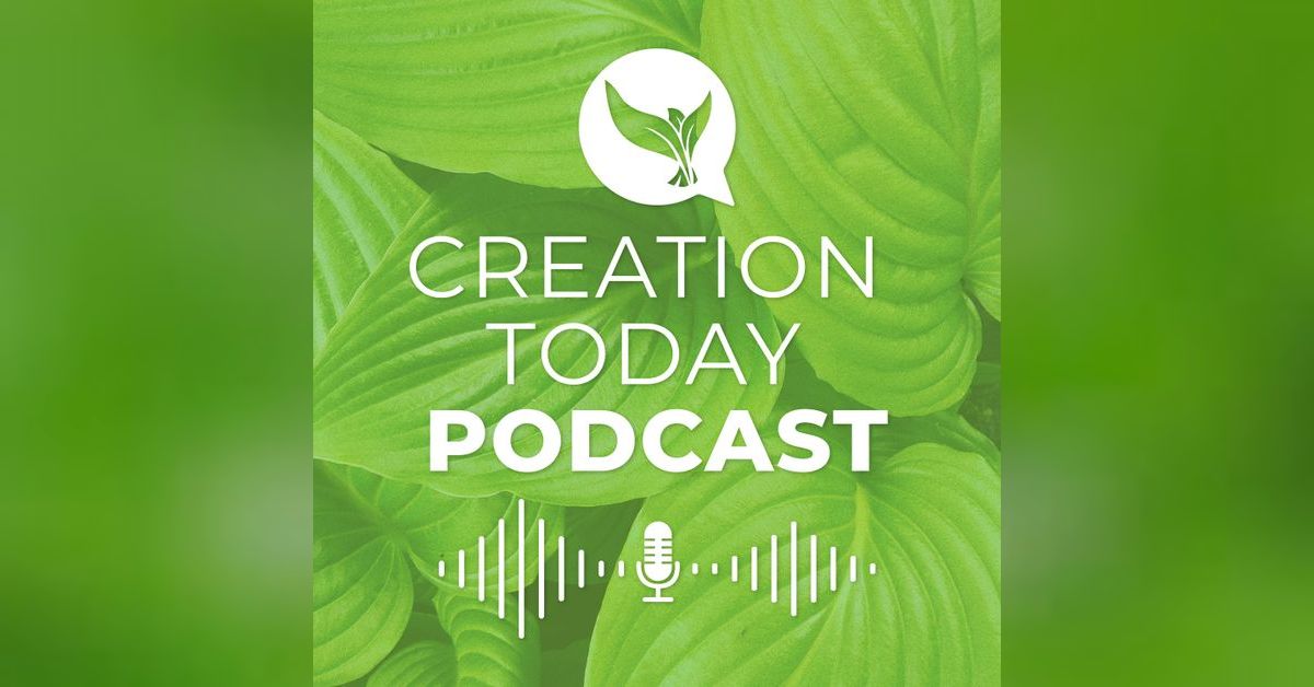 How Mount St. Helens Rescued Creation Science with Eric Hovind & Bill ...