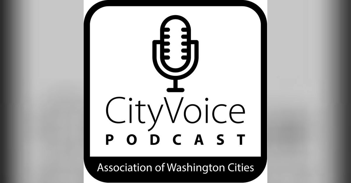 CityVoice - S07E07: Public safety and revenue updates with Candice Bock ...