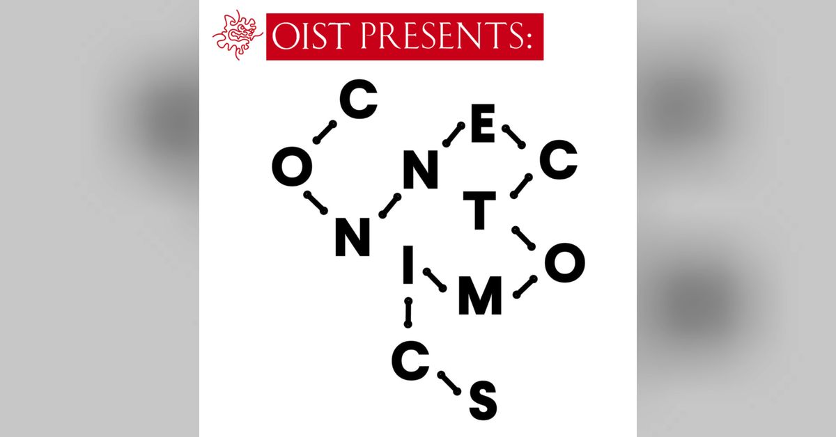 #8 - Dr. Abeba Birhane on the limits and liabilities of artificial ...