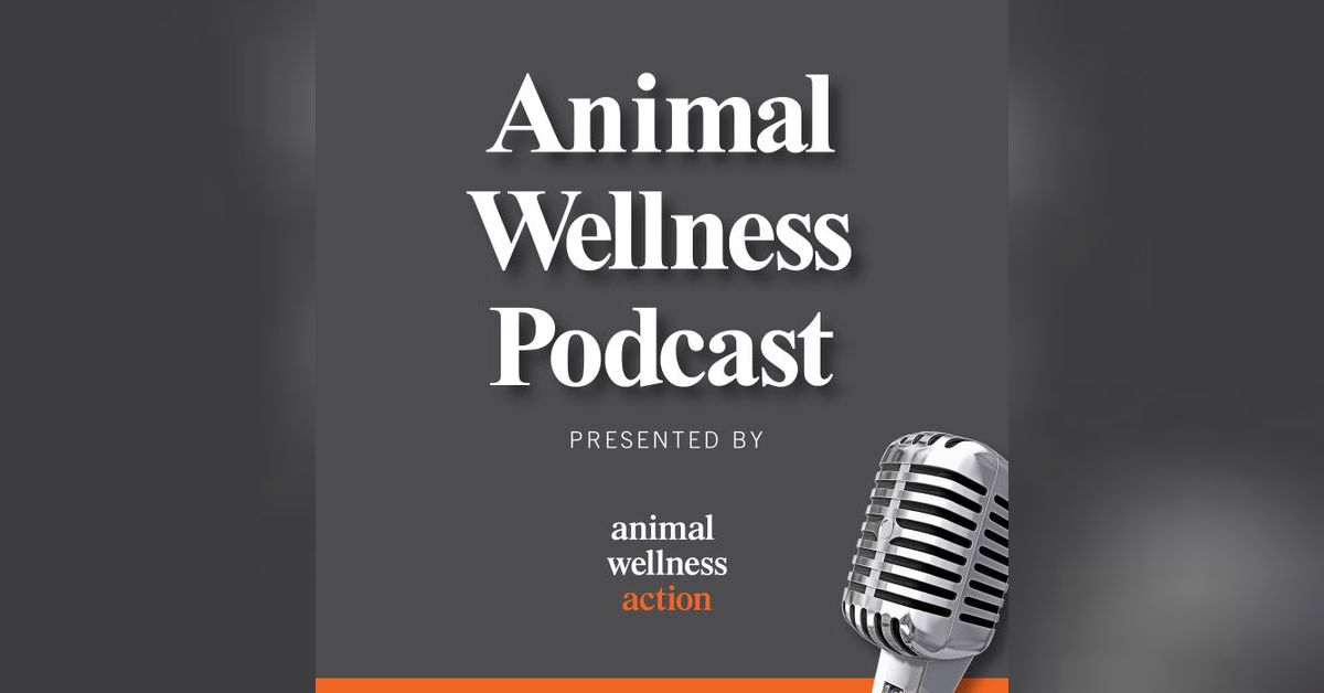 The Animal Wellness Podcast | Animal Wellness Action