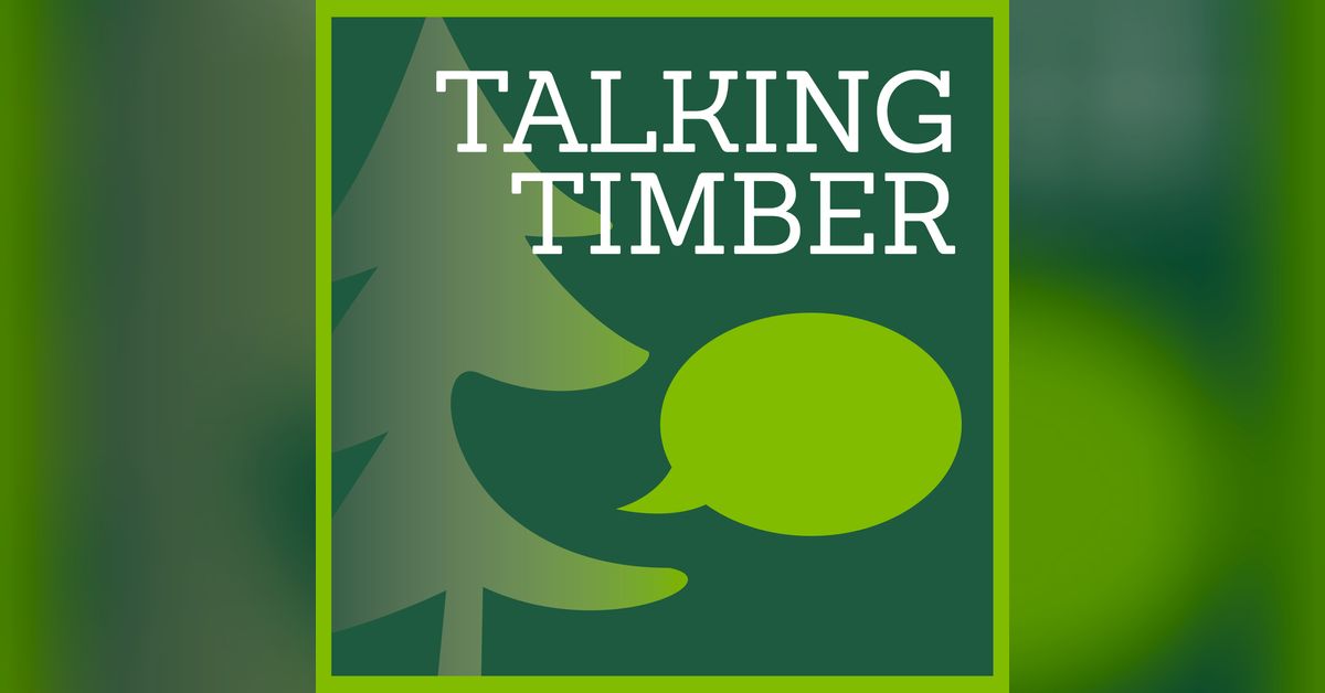 Page 2 | Talking Timber