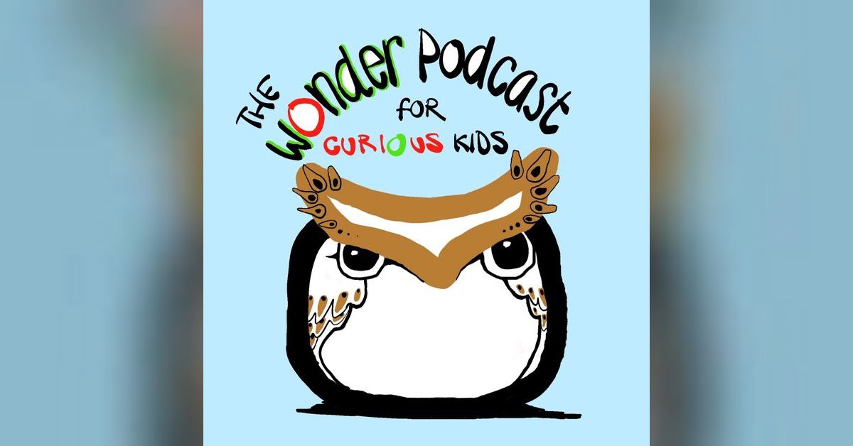 The Wonder Podcast for Curious Kids | Wonder Audio