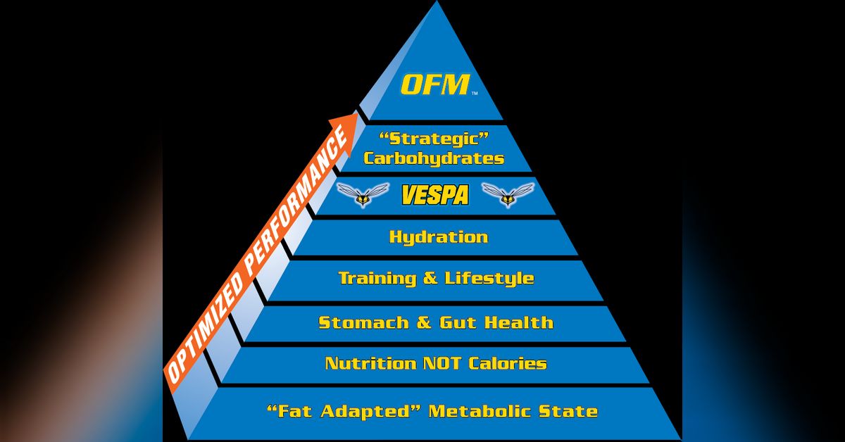15. The Cholesterol Code & OFM, Once again breaking new ground | OFM ...