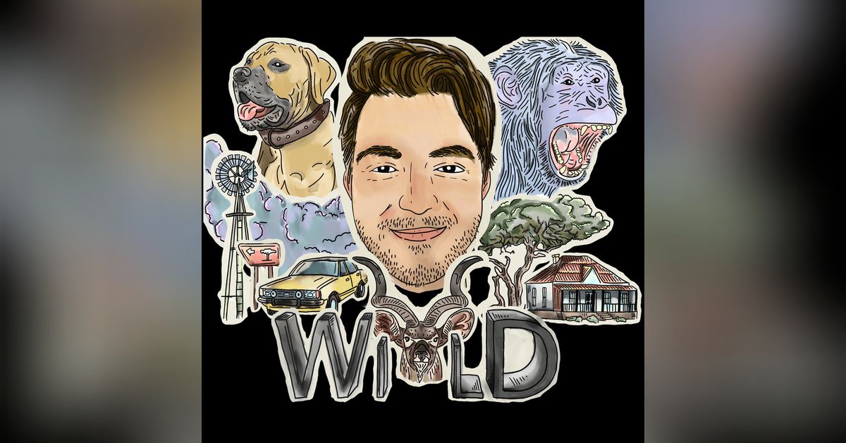 The Unluckiest Lottery Winner - Story Of Michael Carroll | WILD