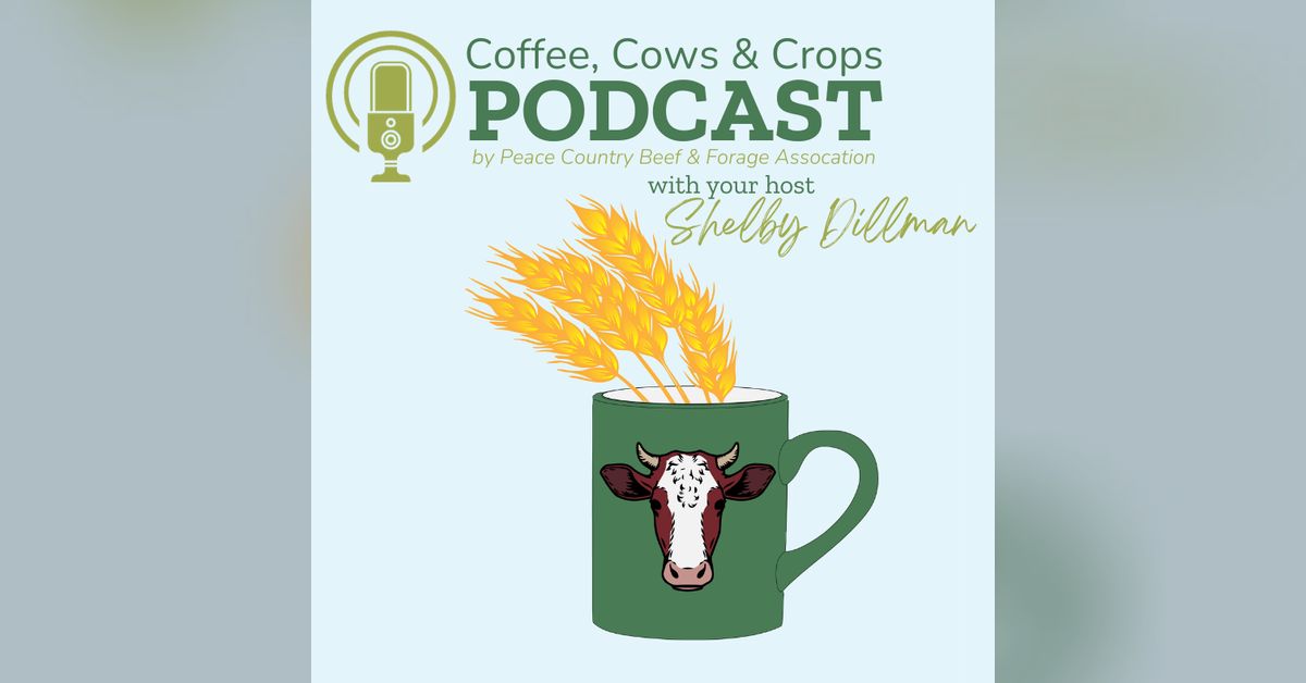 Drought and Cattle Health with Dr Cheryl Waldner | Coffee Cows and Crops